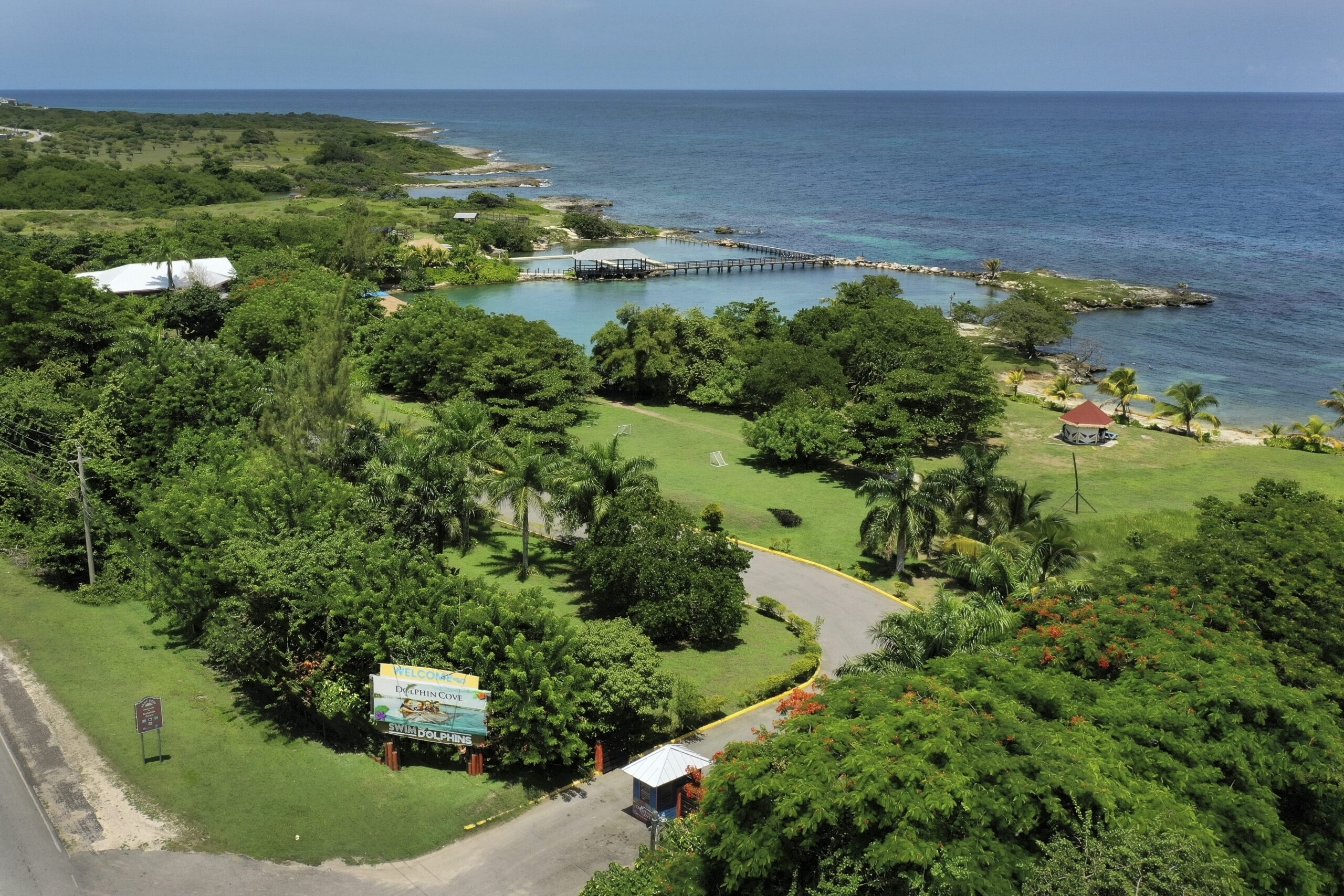 Dolphin Cove is Awarded During the World Travel Awards - The Dolphin ...